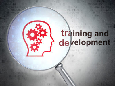 3 More Trends Transforming Training - HR Daily Advisor