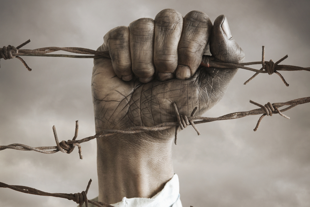 Hiring Refugees - HR Daily Advisor