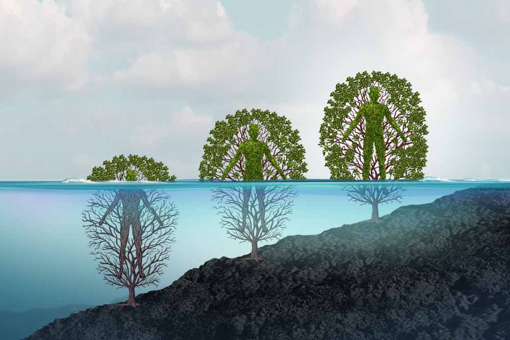 10 Critical "Compensable Factors" in Job Descriptions - HR Daily Advisor